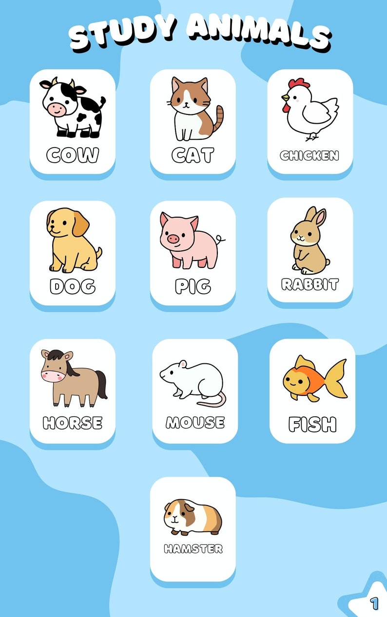 Interactive Child Book With Many Exercises - Etsy