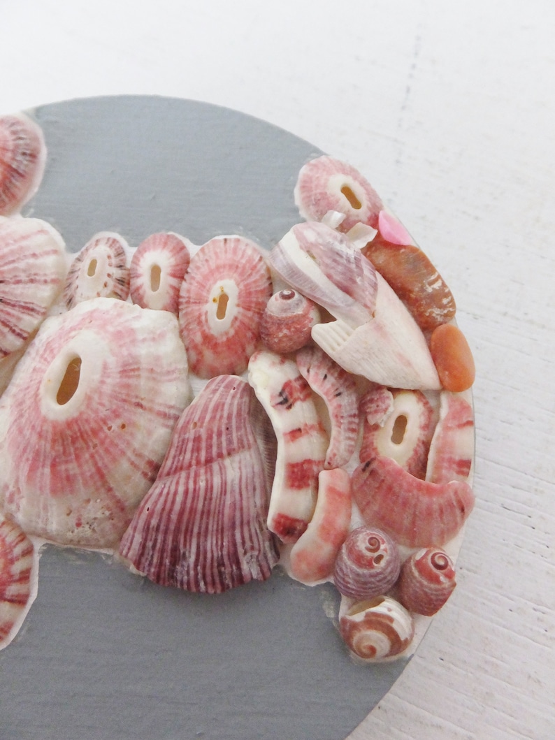 Mini Shell Art Wall Hanging Small Art Work Modern Natural - Etsy