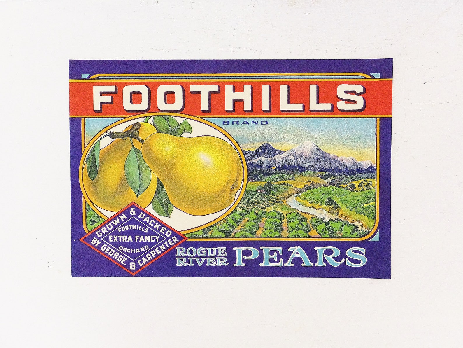 Vtg Ad Pear Crate Label Foothills Rogue River Brand Pears | Etsy