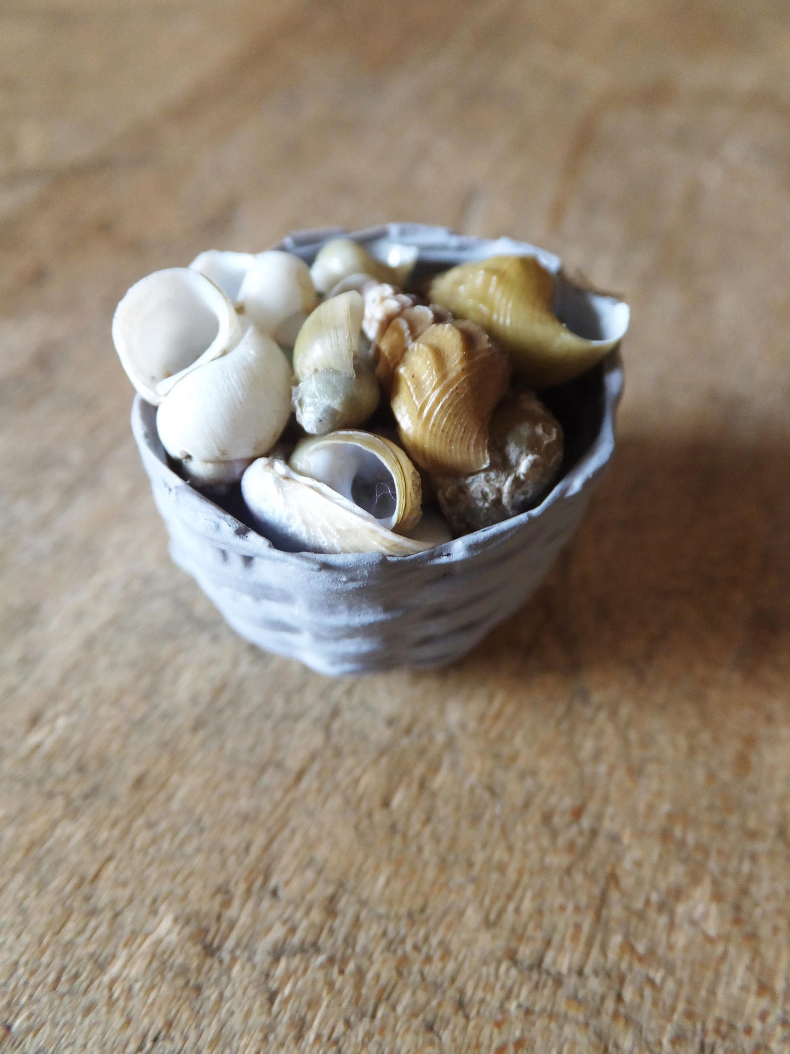 Miniature 1:12 Beach Shell Collection Basket With Tiny Shells - Etsy