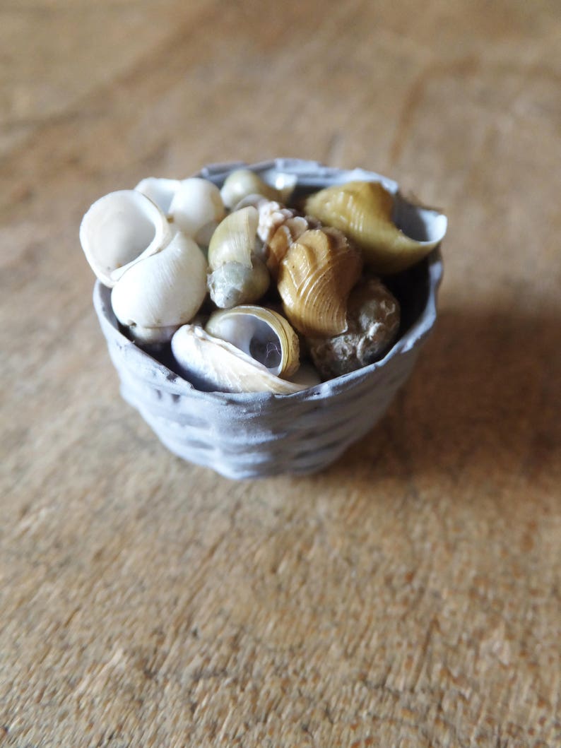 Miniature 1:12 Beach Shell Collection Basket with Tiny Shells | Etsy