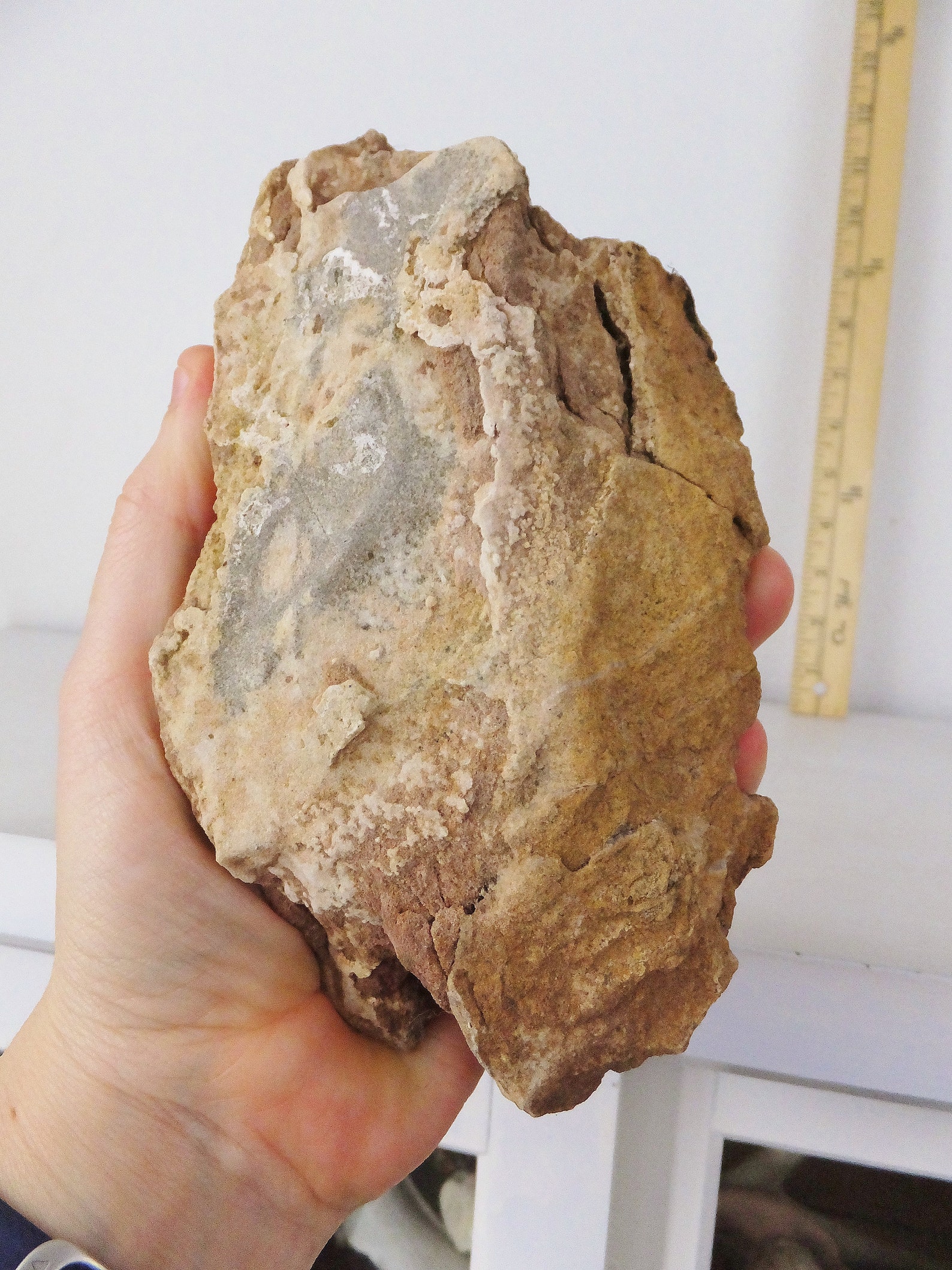 Sandstone Rock With Selenite Inclusions Rustic Natural Decor - Etsy