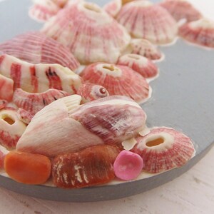 Mini Shell Art Wall Hanging Small Art Work Modern Natural Sculpture ...