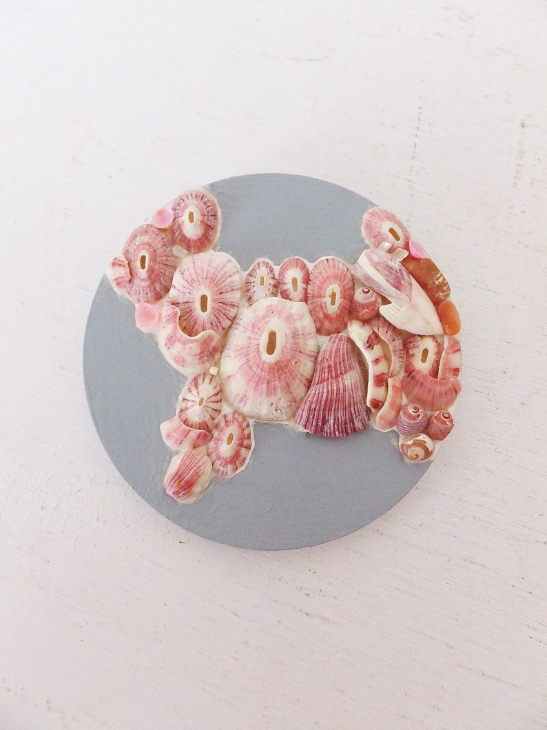 Mini Shell Art Wall Hanging Small Art Work Modern Natural - Etsy