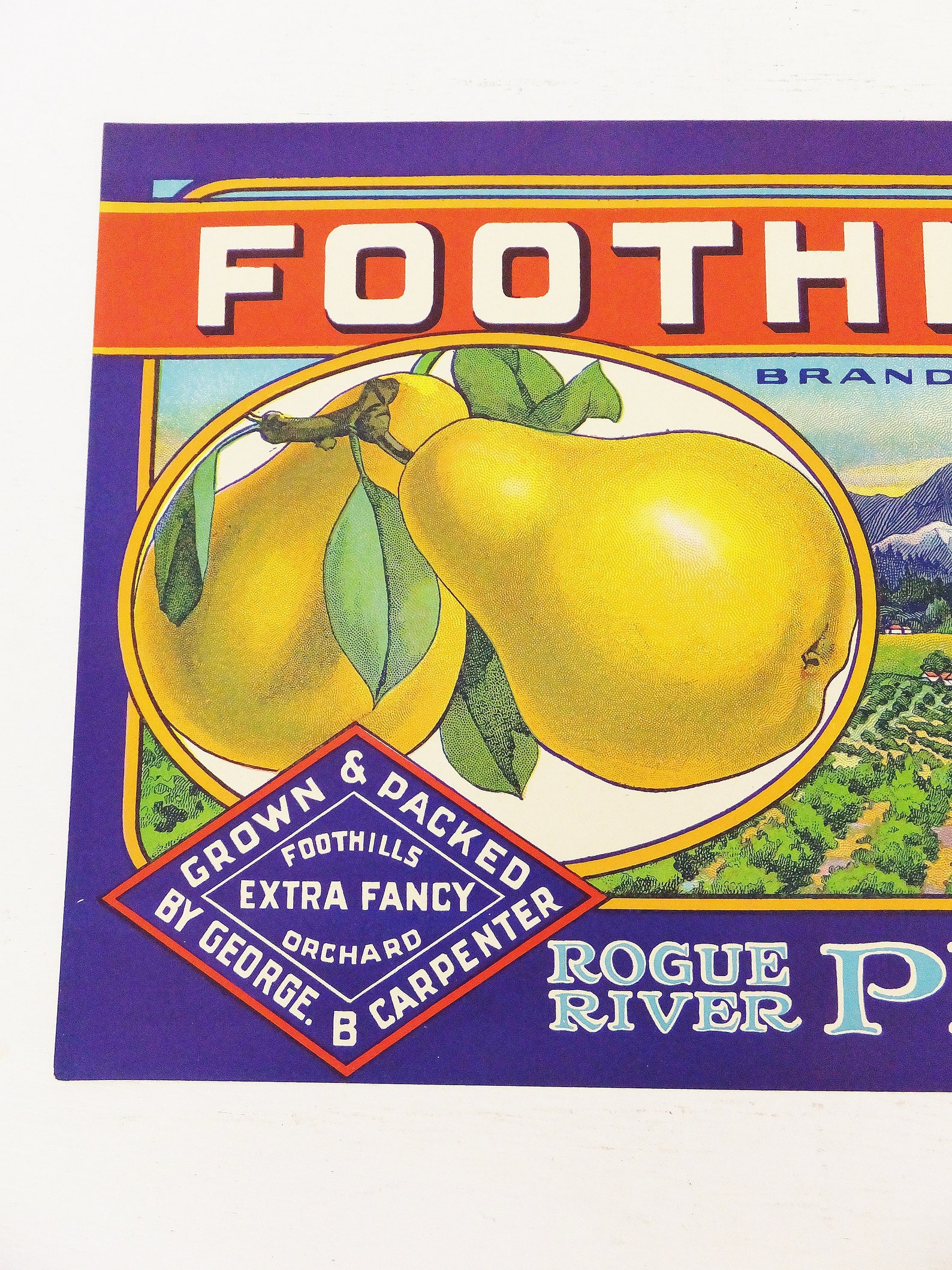 Vtg Ad Pear Crate Label Foothills Rogue River Brand Pears | Etsy