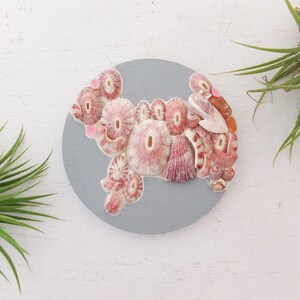 Mini Shell Art Wall Hanging Small Art Work Modern Natural Sculpture ...