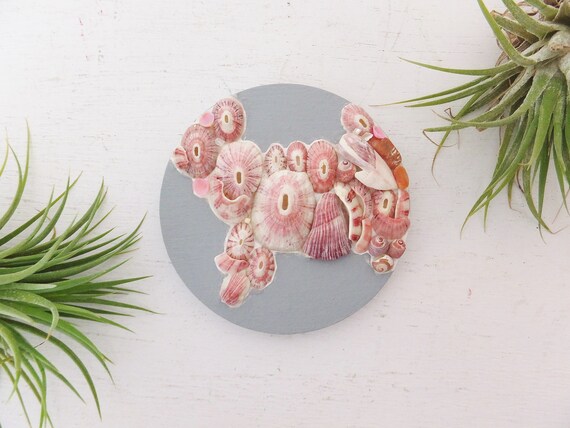 Mini Shell Art Wall Hanging Small Art Work Modern Natural | Etsy