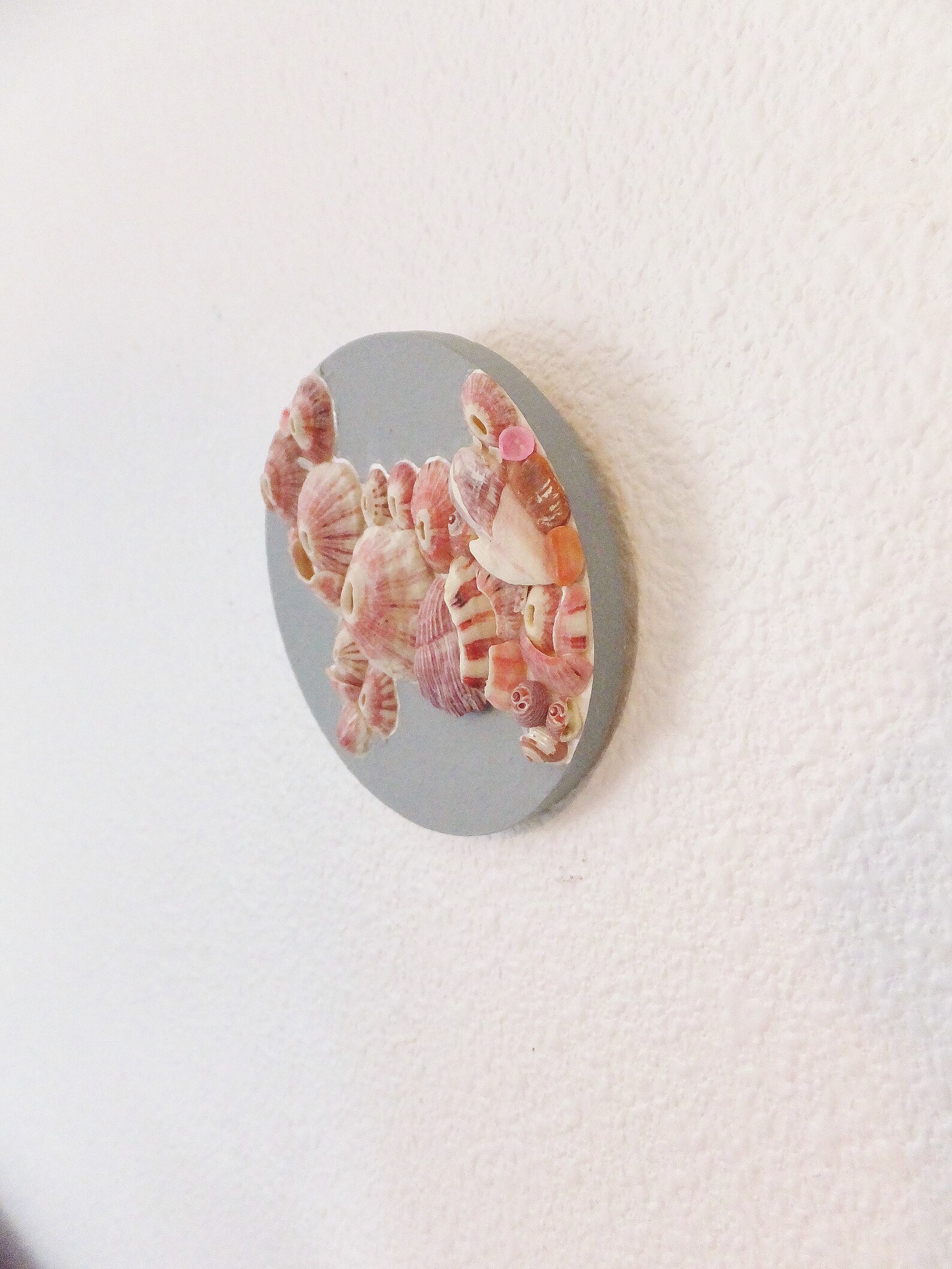 Mini Shell Art Wall Hanging Small Art Work Modern Natural | Etsy