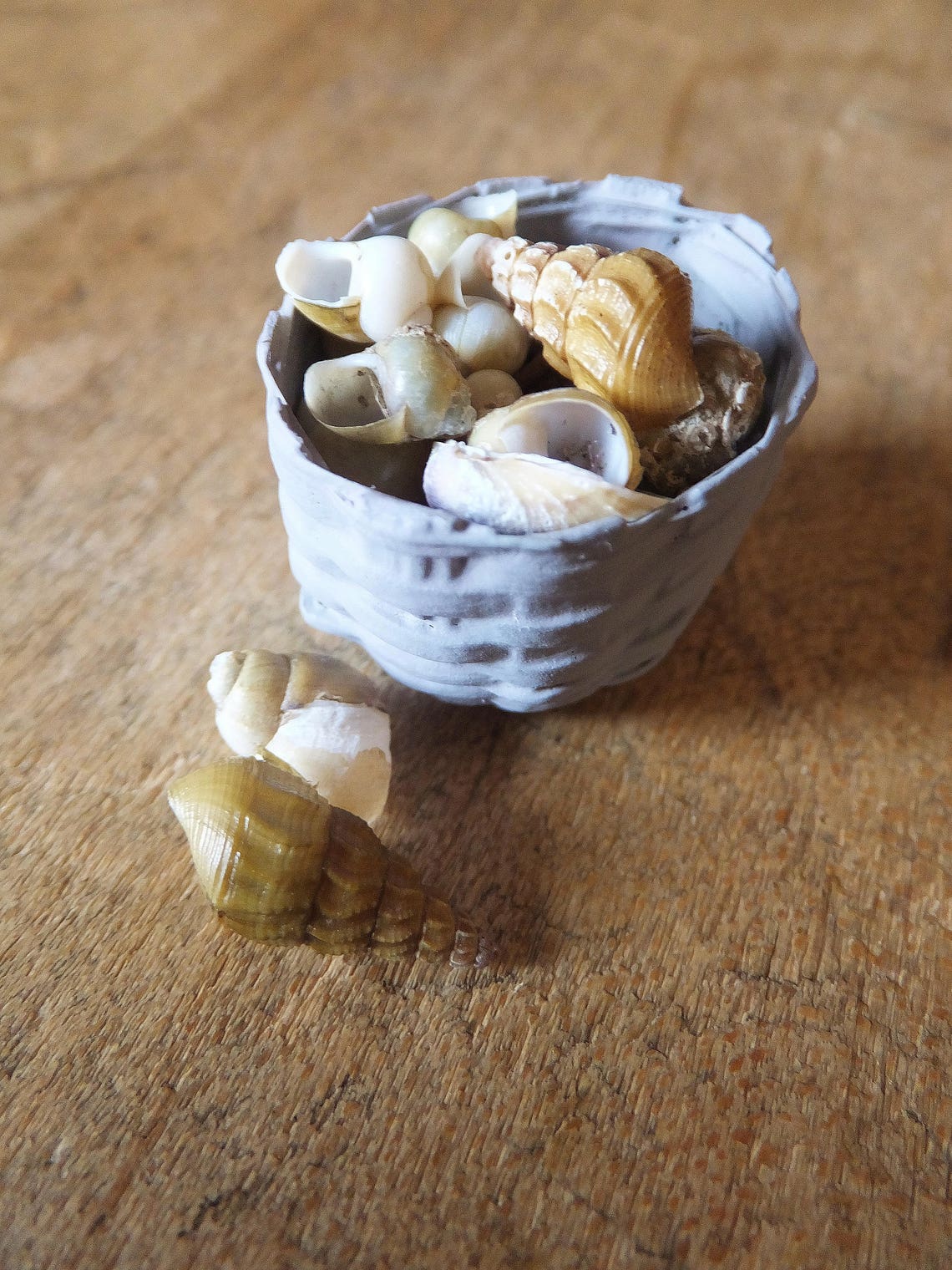 Miniature 1:12 Beach Shell Collection Basket With Tiny Shells - Etsy