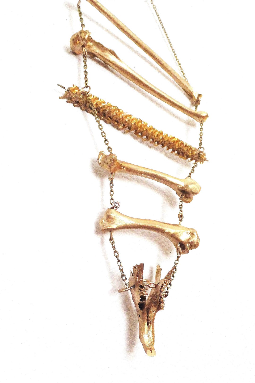 Gold Bones Wall Hanging Sculpture Taxidermy Decor Dark Academia Home ...