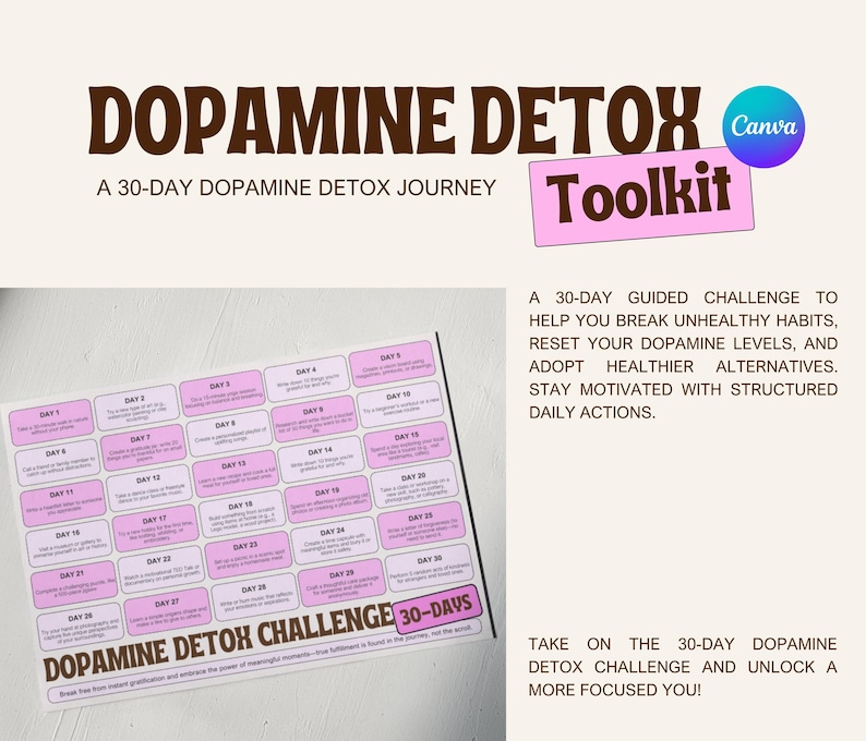 Dopamine Detox Toolkit - Canva Templates, PLR/MLR Rights - Etsy