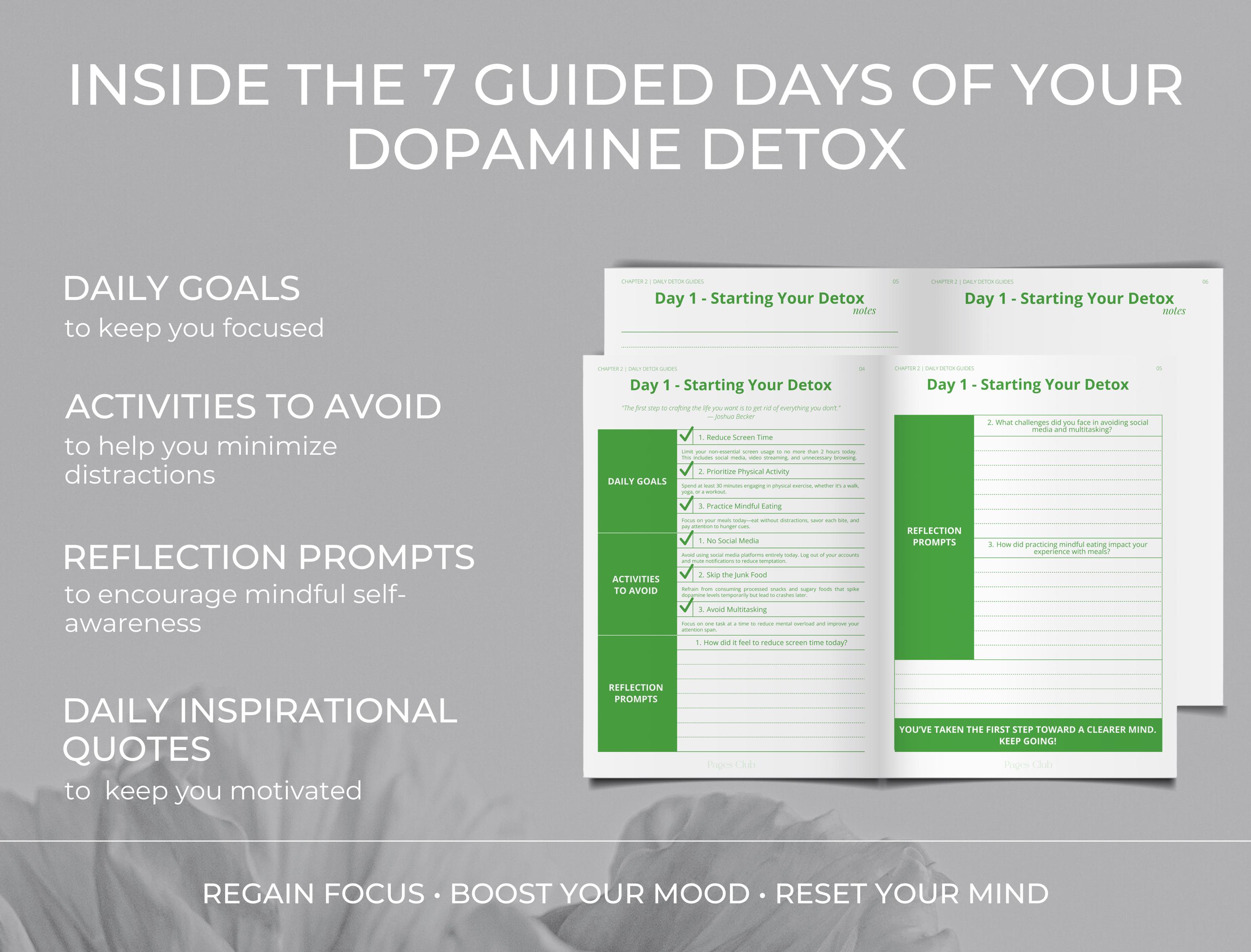 Dopamine Detox Toolkit: 7-day Digital Detox Planner for Focus & Reduced ...