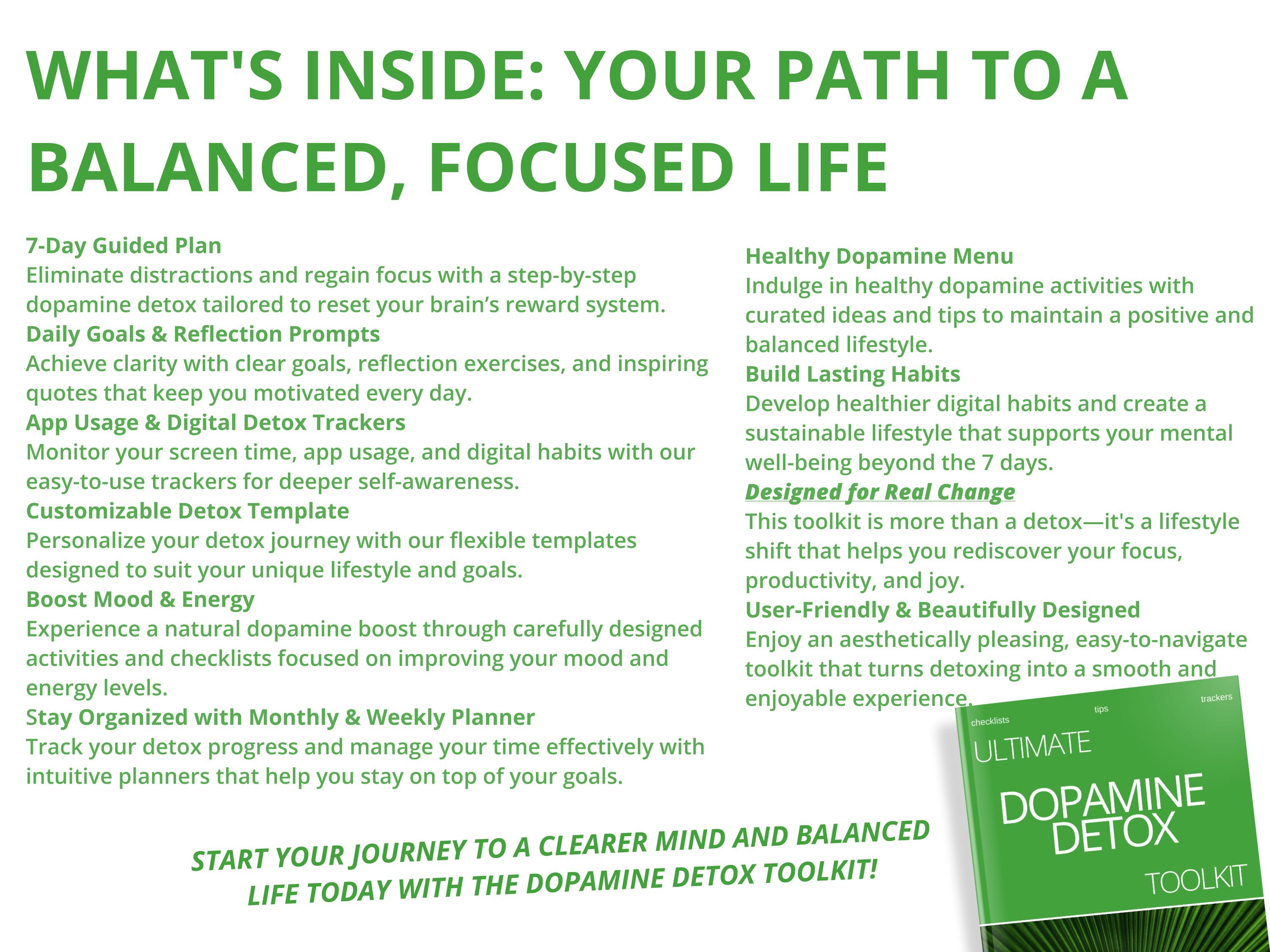Dopamine Detox Toolkit: 7-day Digital Detox Planner for Focus & Reduced ...