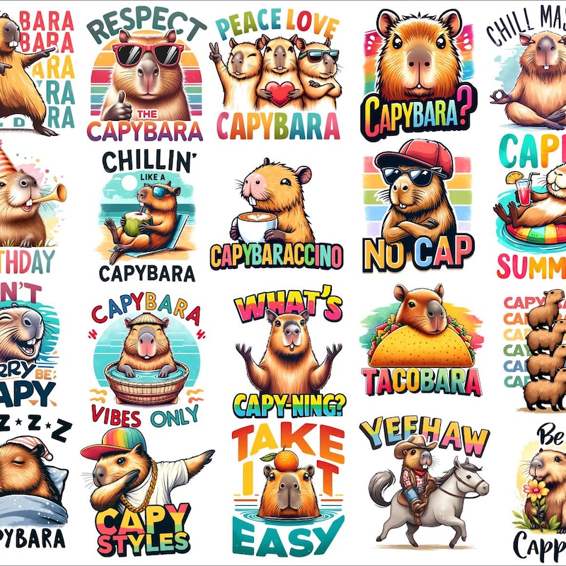 Stickers de capibara - Etsy España