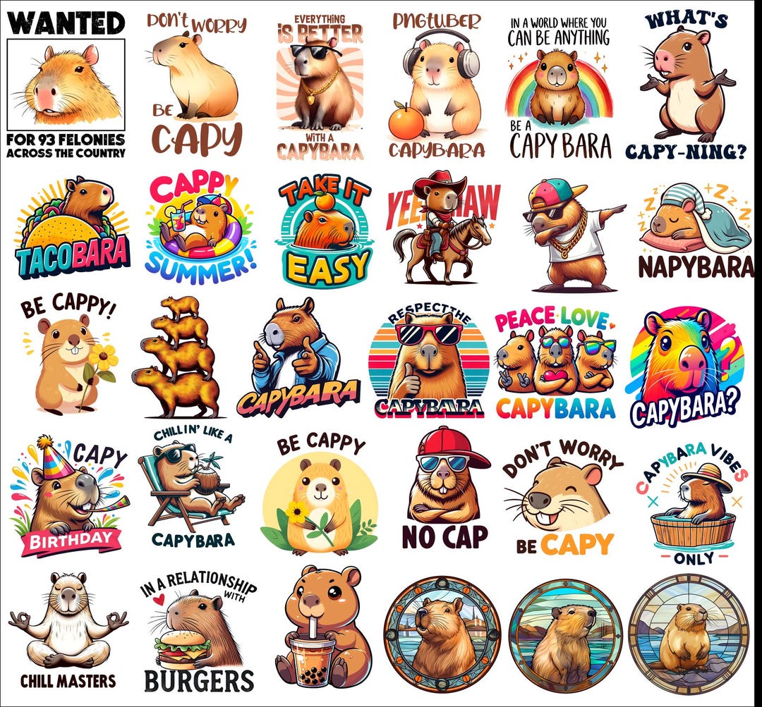105 Capybara Designs DTF, DTG, Sublimation in PNG - Etsy