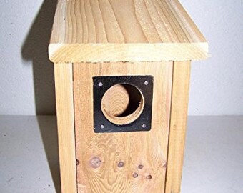 Gilwood Slot Box Bluebird House - Etsy