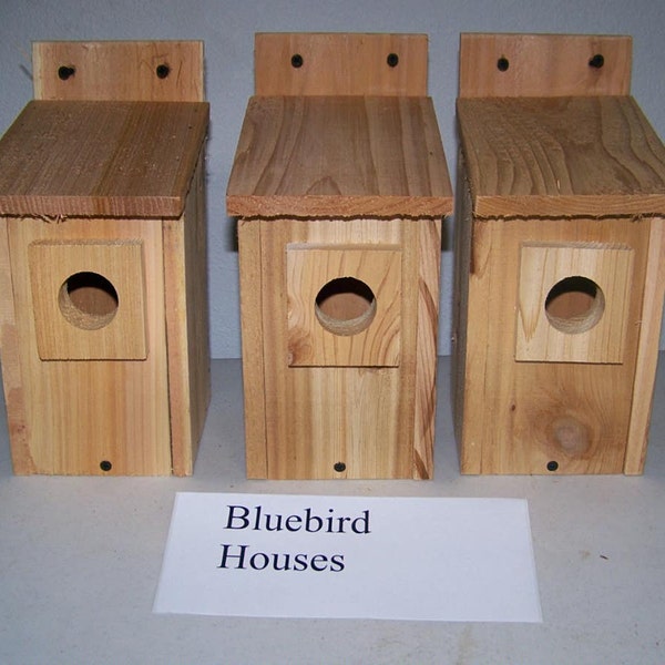 Western Bluebird Nest Box - Etsy