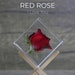 Red Rose Flower Epoxy Resin Cube - Roses Meaningful Girlfriend Home ...