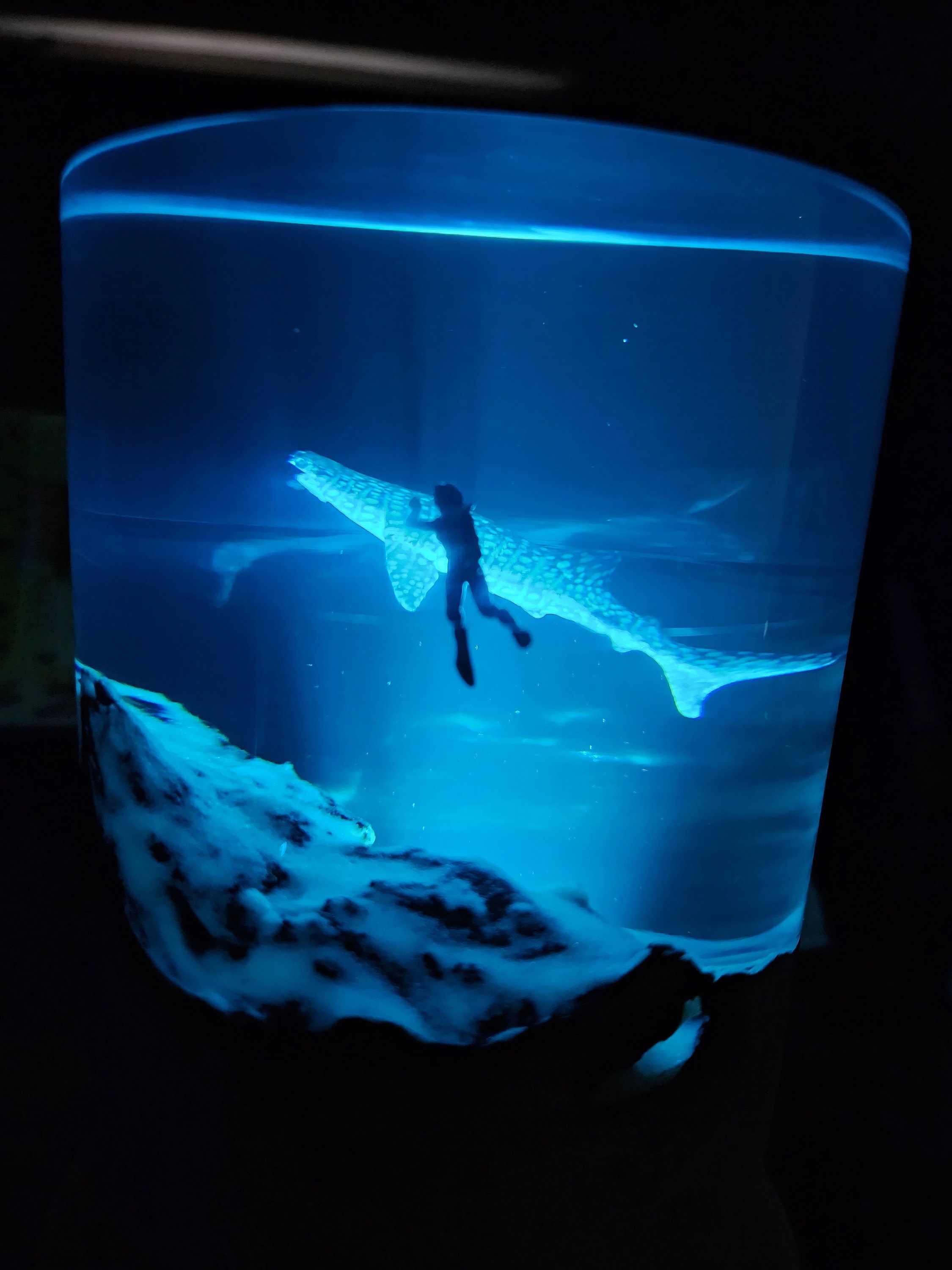 Shark & Turtle LED Lamp Epoxy Resin Cylinder - Wood Home Decor Art ...