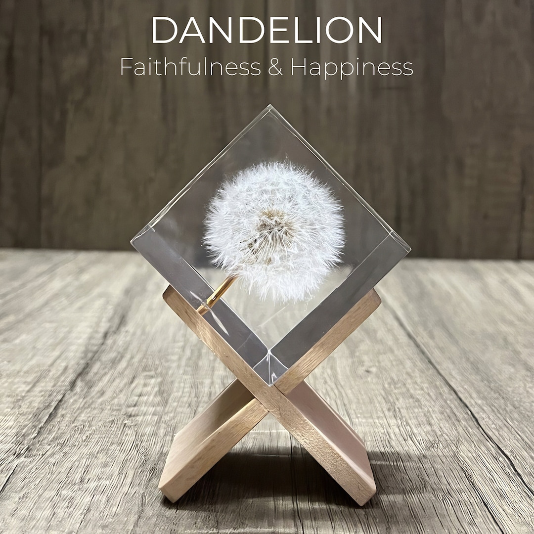 Dandelion Flower Epoxy Resin Cube - Meaningful Girlfriend Home Decor ...