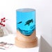 Shark & Turtle LED Lamp Epoxy Resin Cylinder - Wood Home Decor Art ...