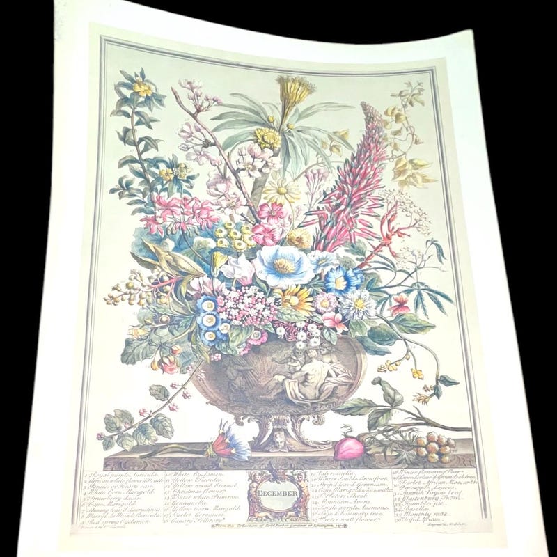 Robert Furber - Etsy