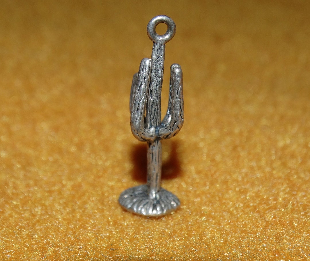 Vintage Sterling Silver Cactus Pin, Saguaro Cactus, Desert Cactus ...
