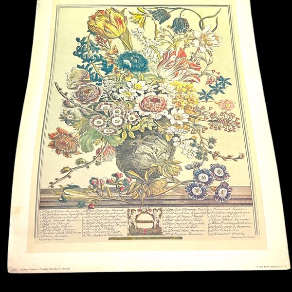 Robert Furber - Etsy