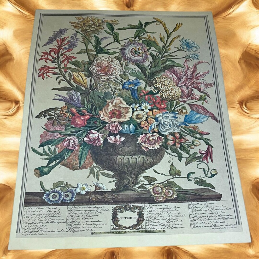 1964 Twelve Month Flowers - by Robert Furber, Penn Prints, Gardener at ...