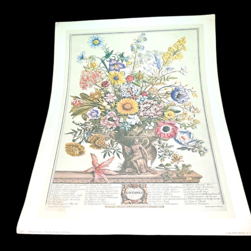 Robert Furber - Etsy