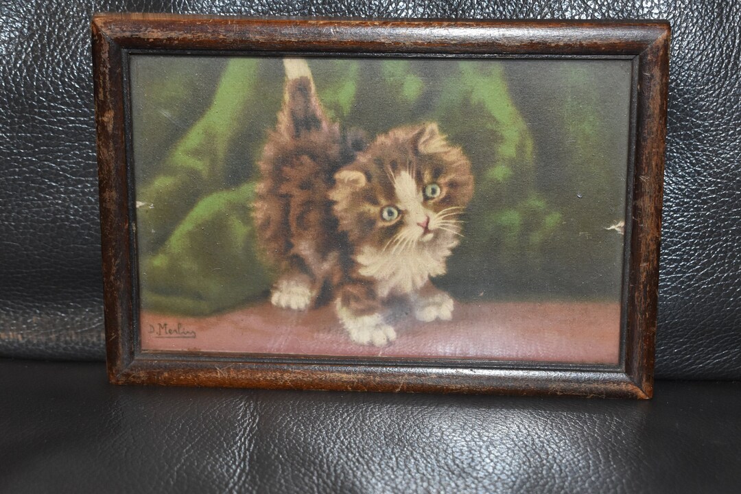 1940's Signed Cat, Artwork, Kitten Art, D. Merlin, Framed Postcard - Etsy