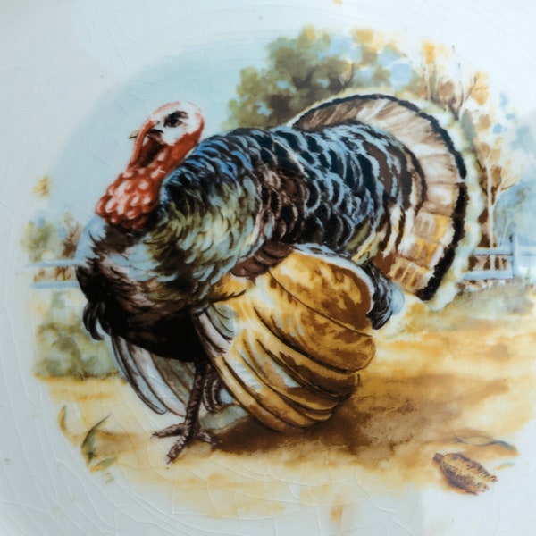 Turkey Plates - Etsy