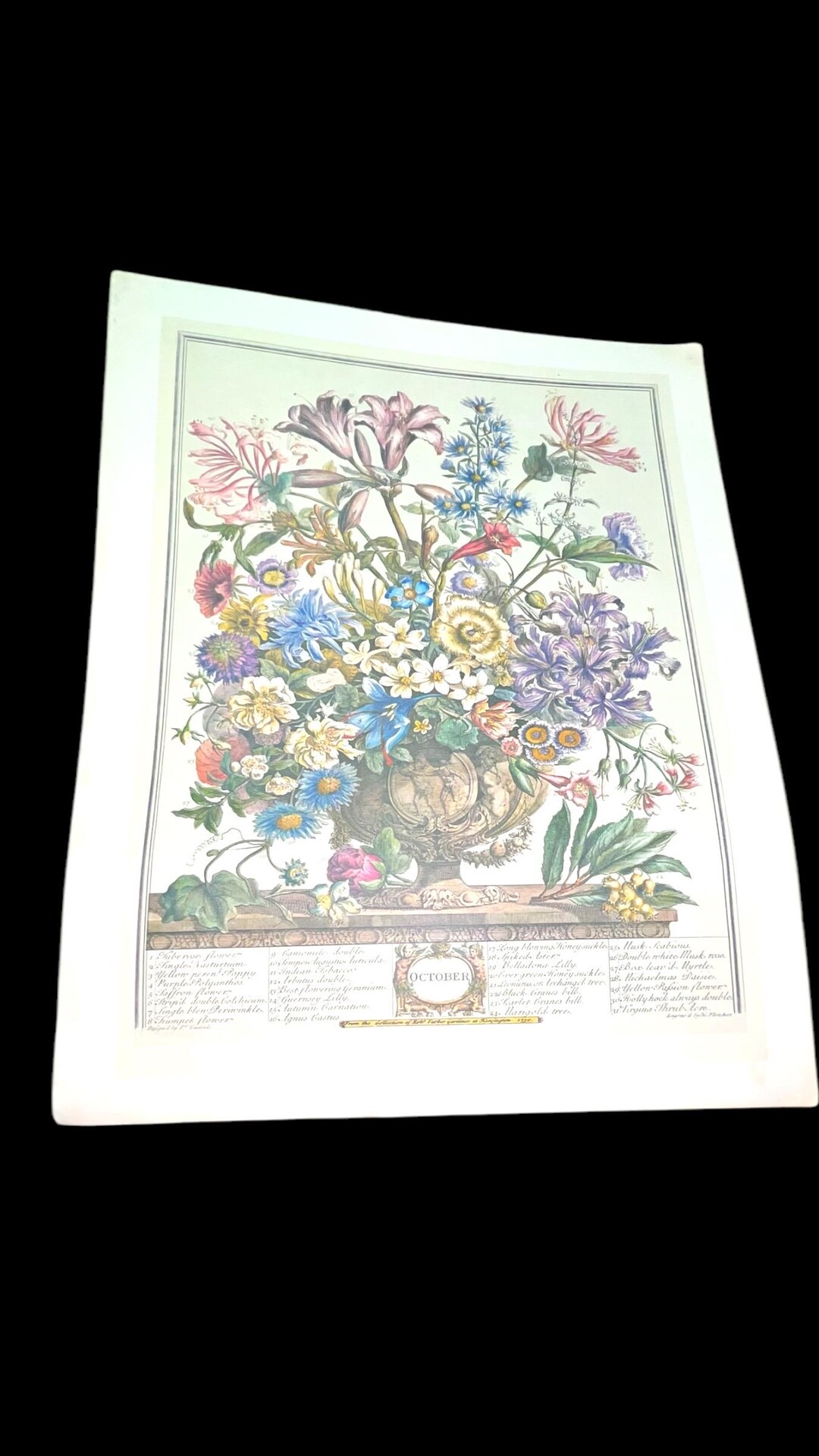 1964 Twelve Month Flowers - by Robert Furber, Penn Prints, Gardener at ...