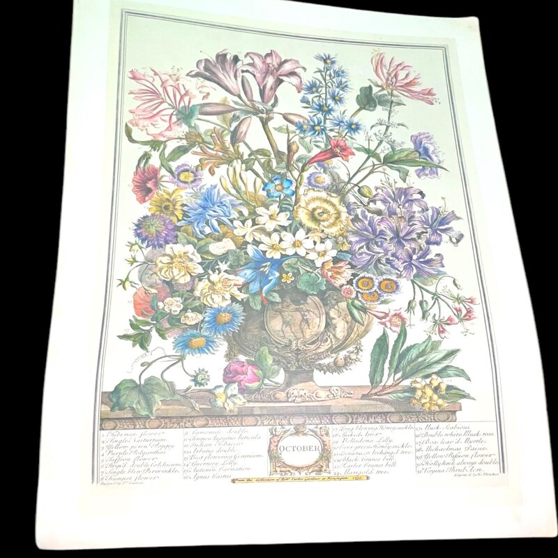 Robert Furber - Etsy