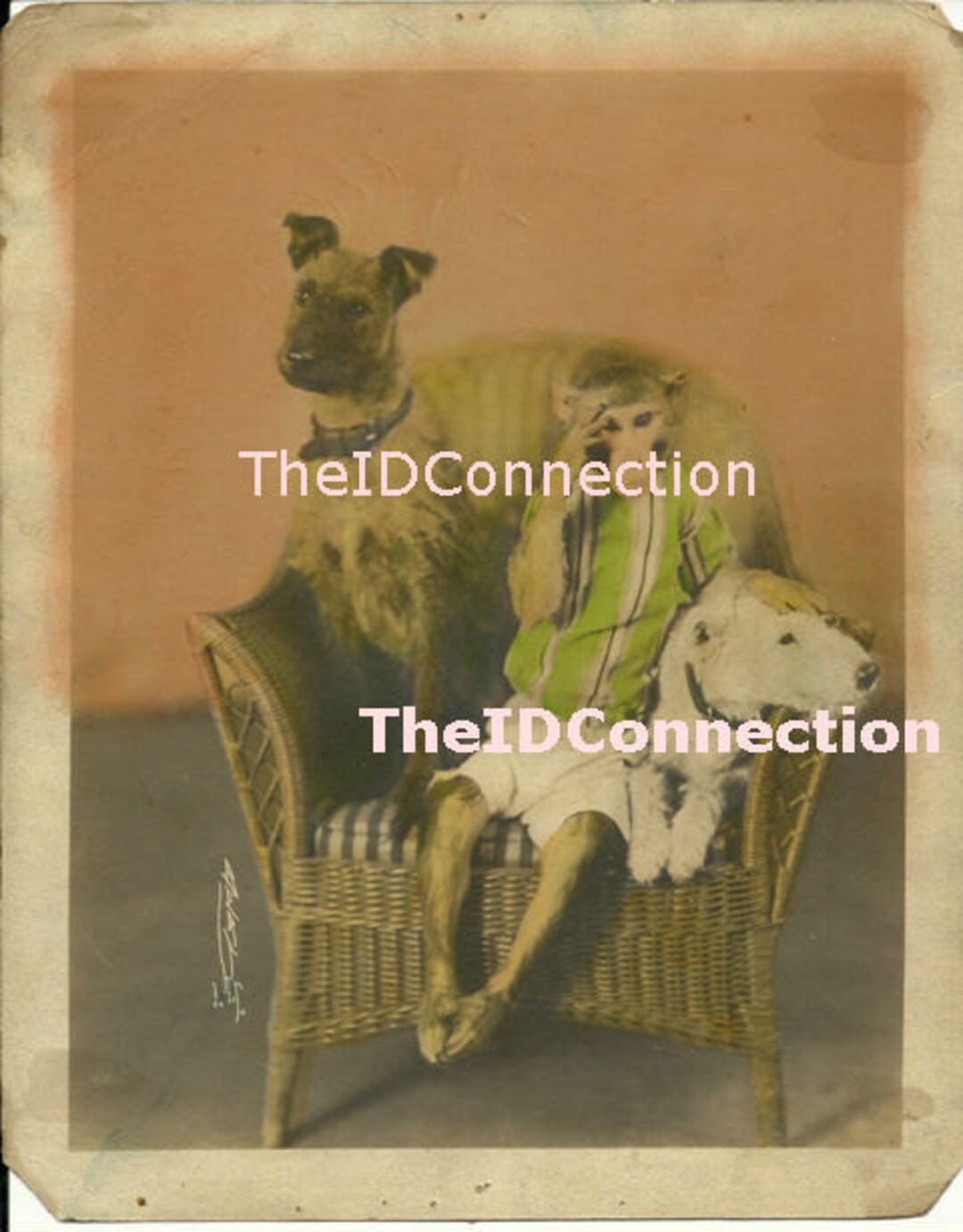 This item is unavailable - Etsy