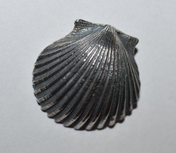 Retired James Avery Large Scallop Shell Brooch, Clam … - Gem