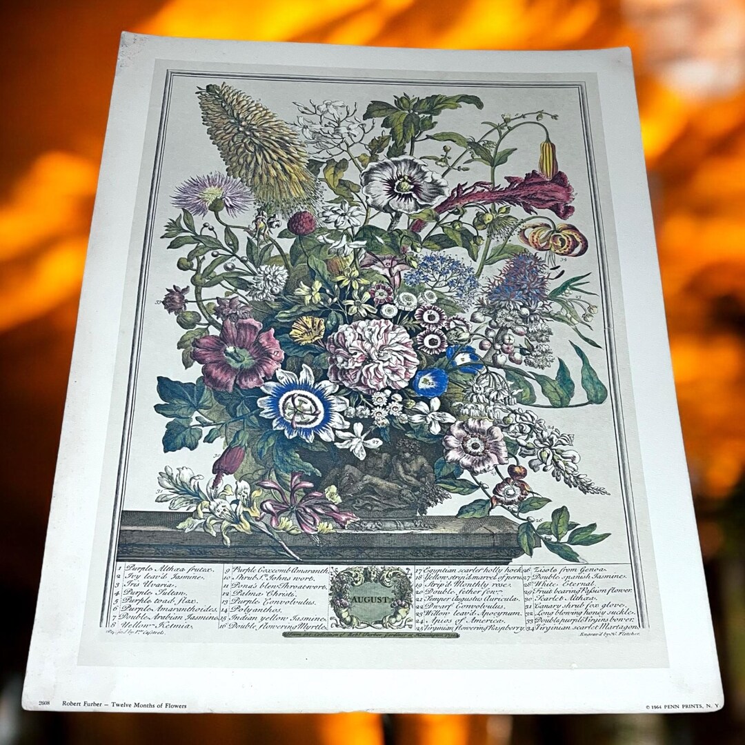 1964 Twelve Month Flowers - by Robert Furber, Penn Prints, Gardener at ...