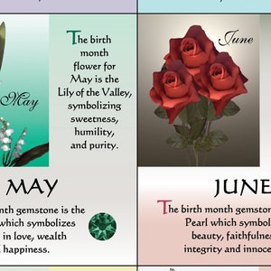 Birth Month Poster 11x17 Gemstone Birthday Art Print - Etsy