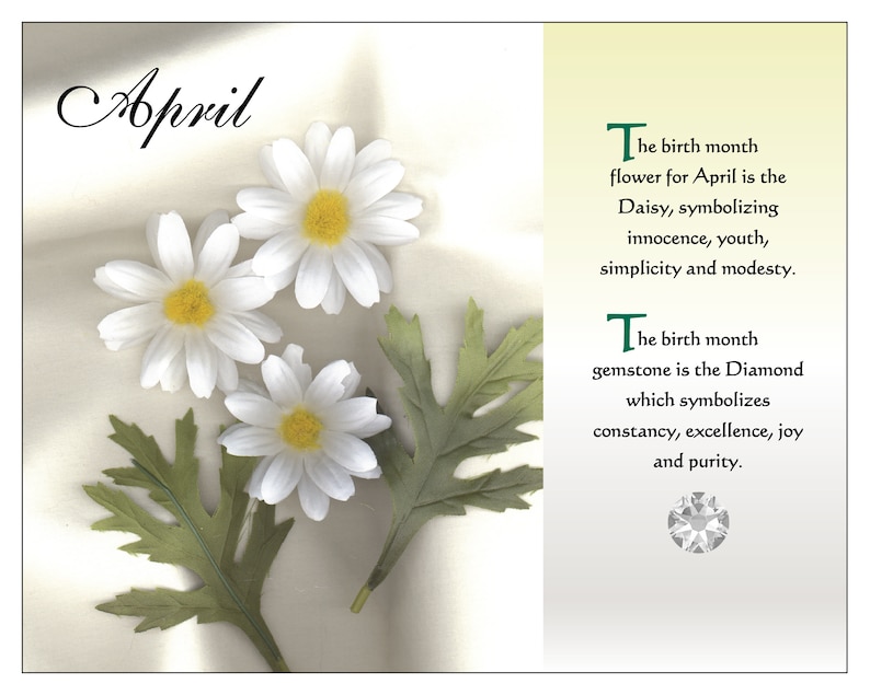 Birth Month Birthstone April Birthday Art Poster 8x10 Digital Download ...