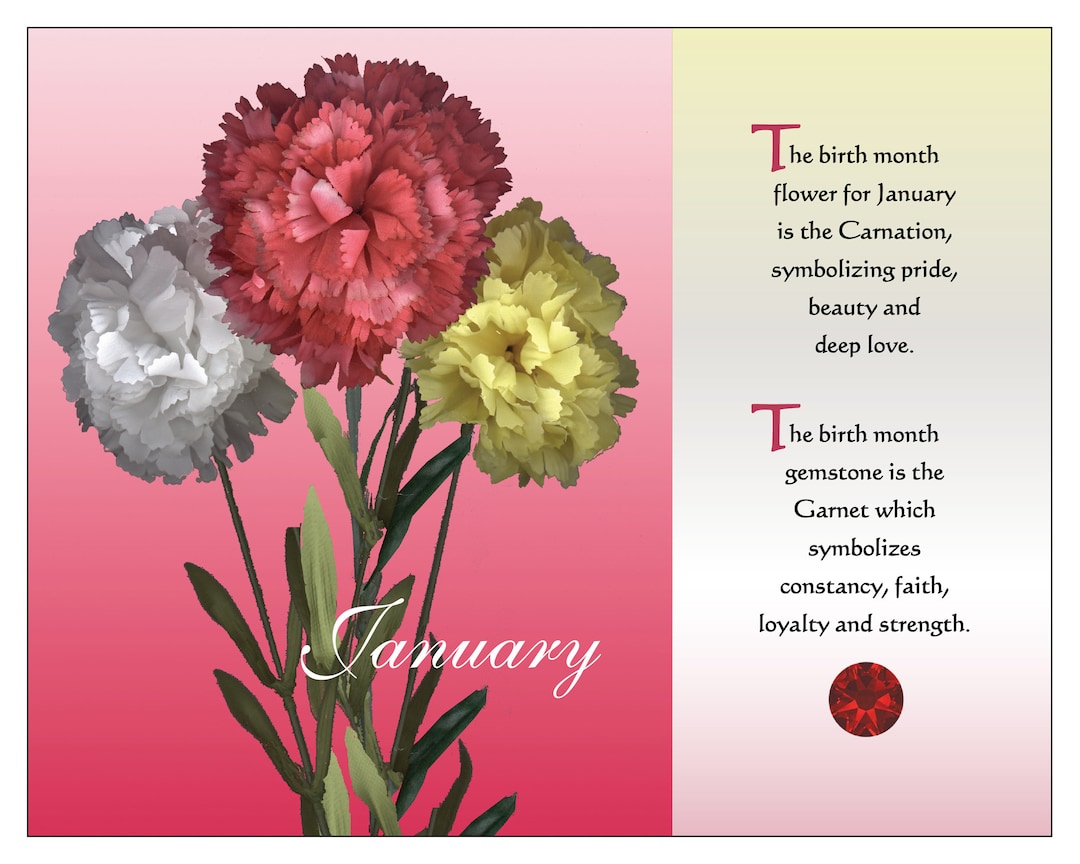 Birth Month Birthstone January Birthday Art Poster 8x10 Digital ...