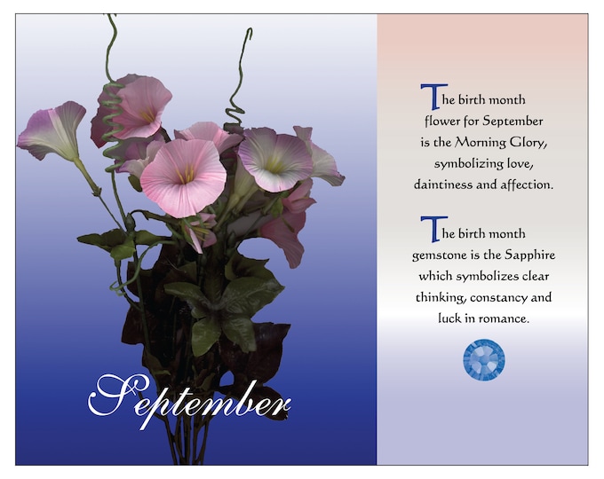 Birth Month Gemstone Birthday Poster 11x17 Digital Download - Etsy Canada