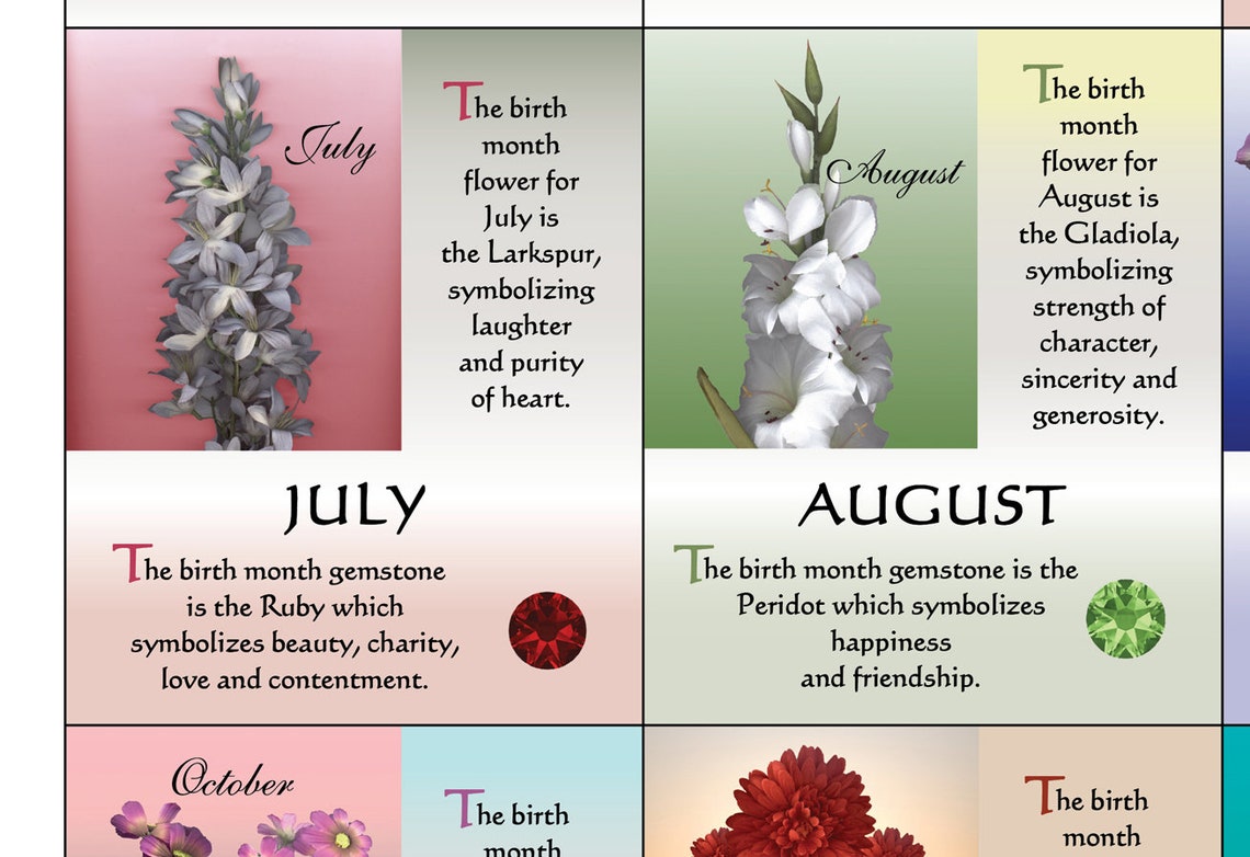 Birth Month Poster 11x17 Gemstone Birthday Art Print | Etsy