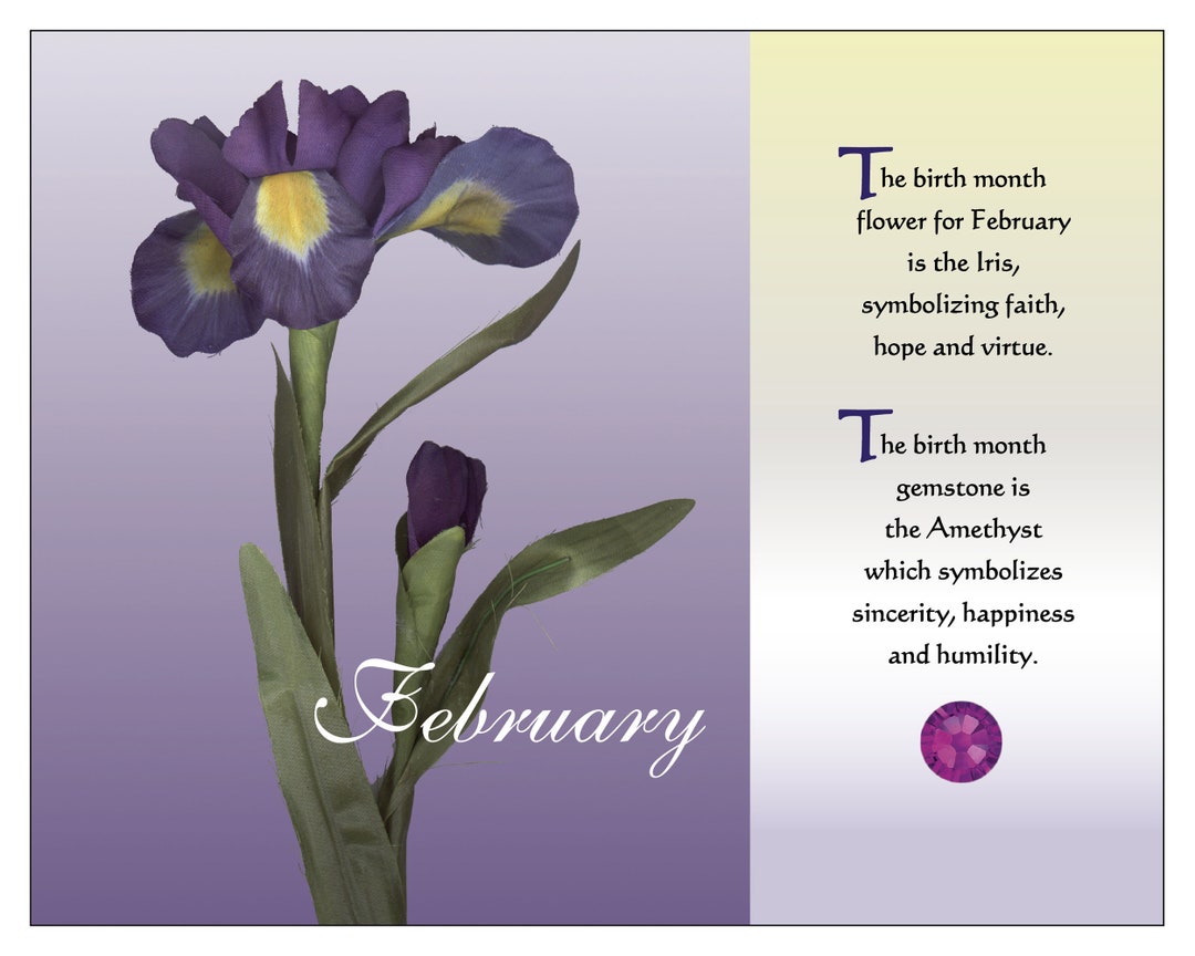 Birth Month Birthstone February Birthday Art Poster 8x10 Digital ...