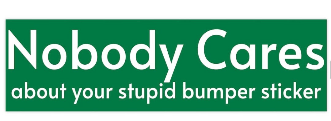 Nobody Cares About Your Stupid Bumper Sticker - Etsy