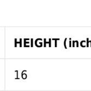 Osprey With Fish in Flight Canvas 20x16 Inch Photo Print - Etsy