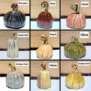 Hand Made Ceramic Stoneware Mini Miniature Pumpkin Pumpkins Fall Decor ...