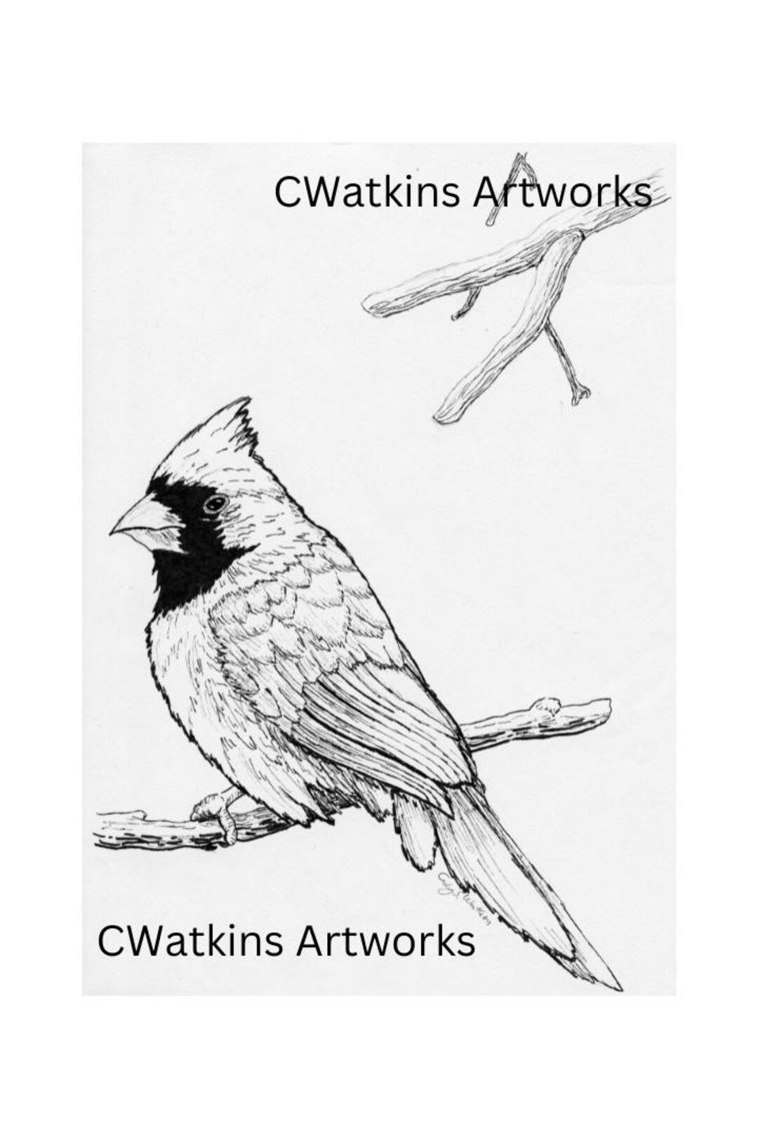 Cardinal Pen Drawing - Etsy