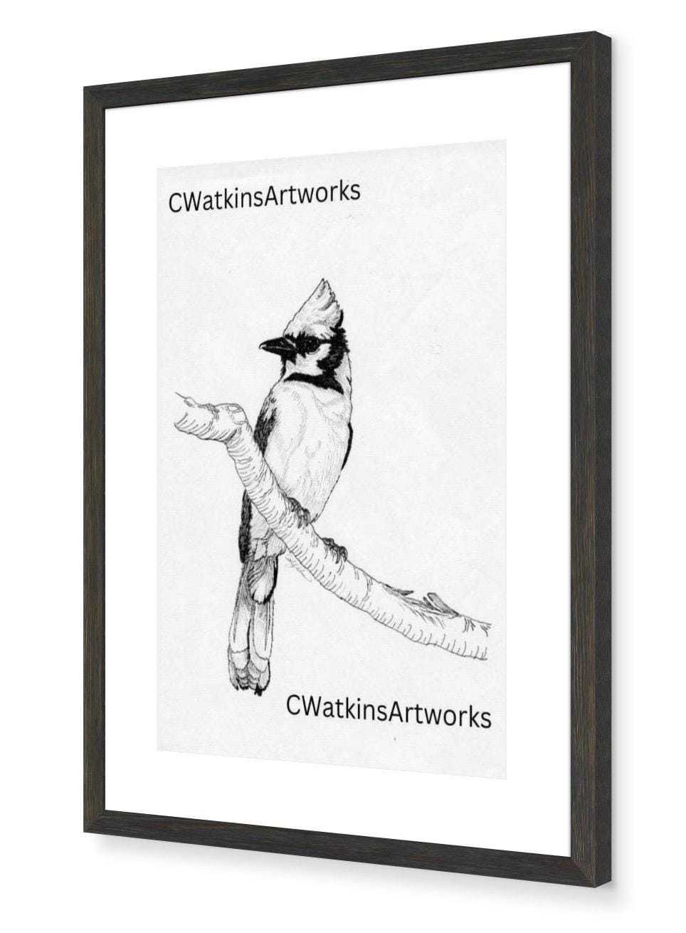 Blue Jay Pen Drawing - Etsy