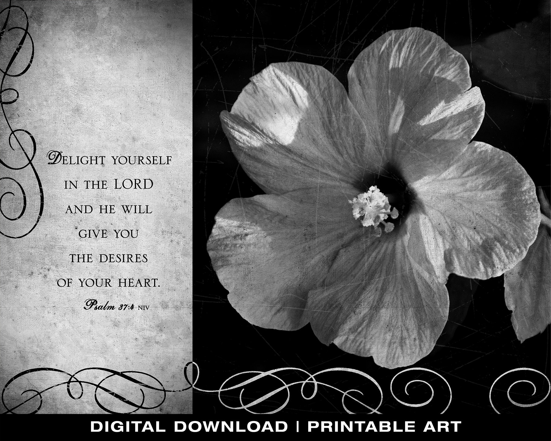 Printable Bible Verse Scripture Art Instant Download - Etsy