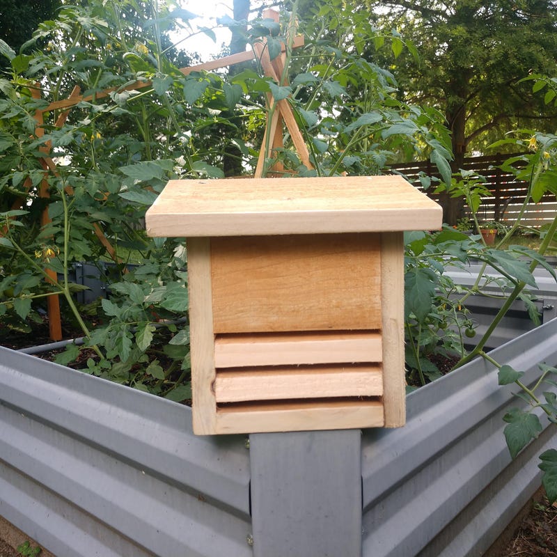 Ladybug House - Etsy